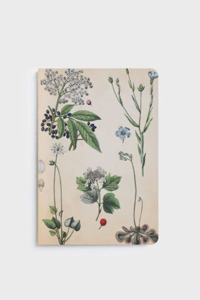 Shop Field Botany Natural Notebook | Flo & Frankie