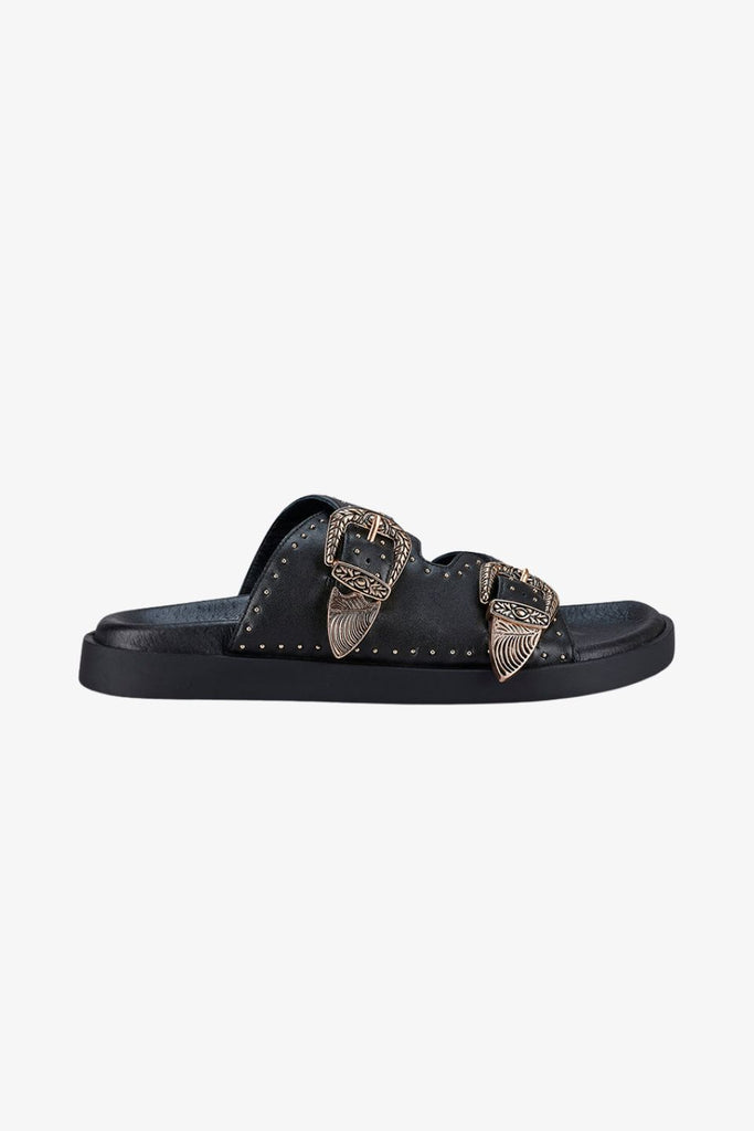 Shop Eastwood Black Studded Gold Buckle Slide | Flo & Frankie